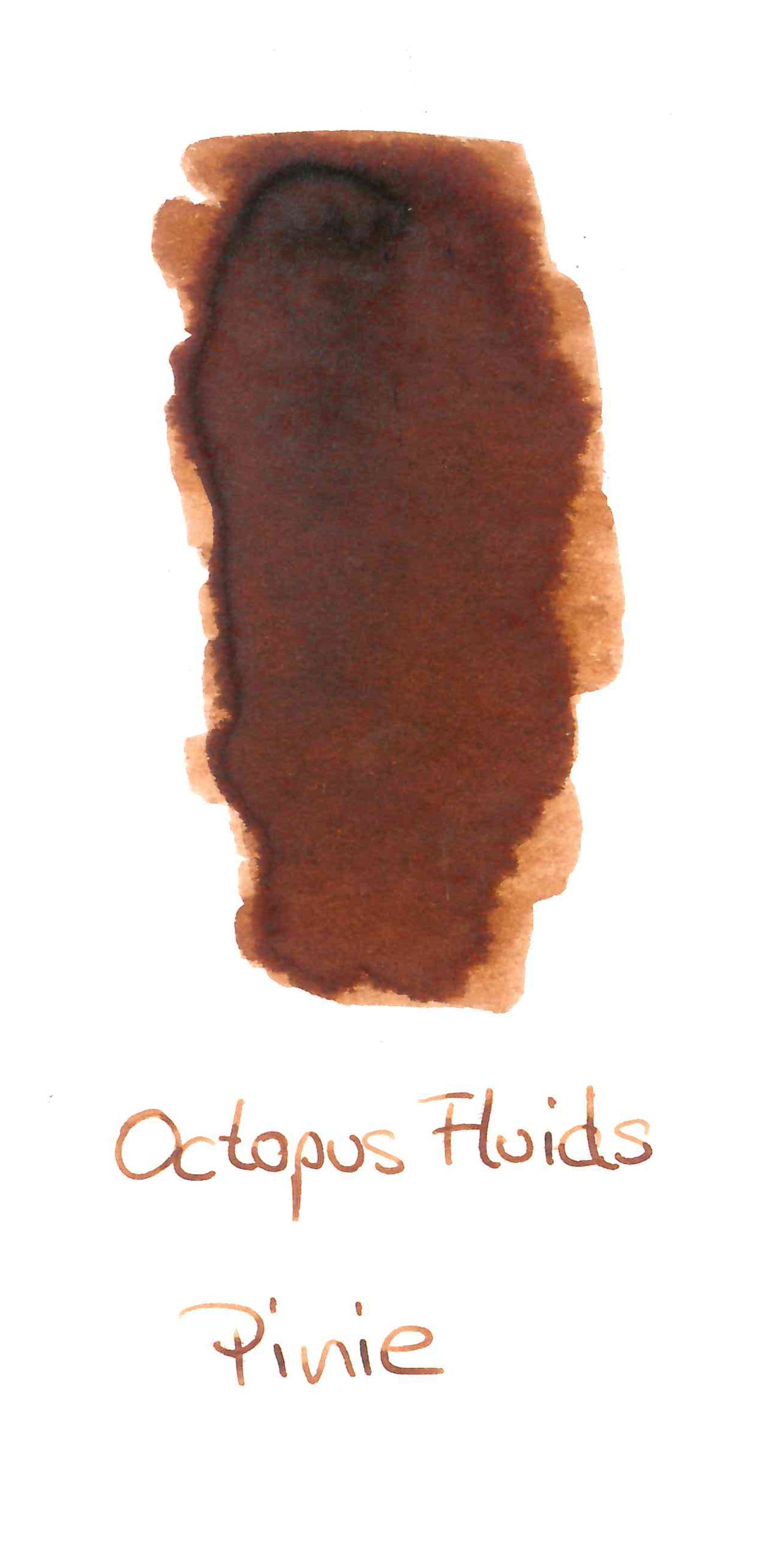 Octopus - Pine Brown Ink – Bottle and Plume